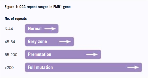 Fragile X Syndrome Testing Diagnosis Fragile X 101, 47% OFF Fragile X Syndrome Testing Diagnosis Fragile X 101, 47% OFF